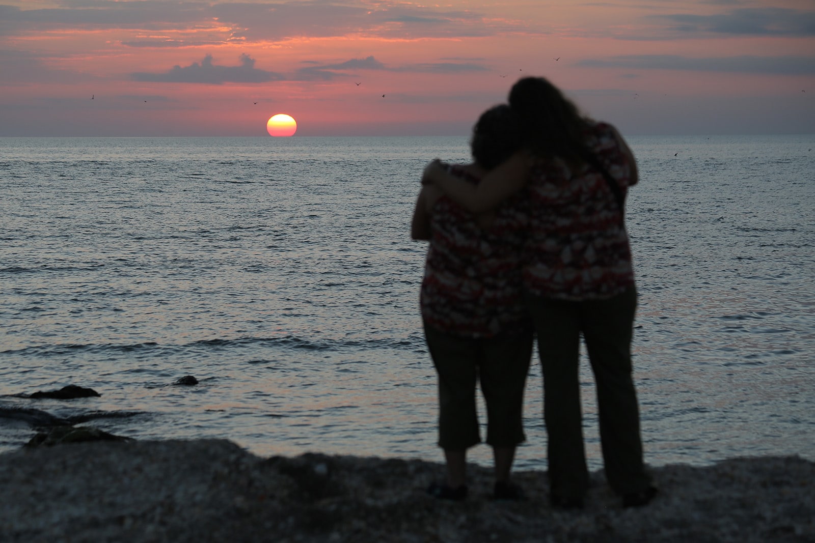 Weekend Getaway to Sanibel, Florida, a Treasure Trove of Family Fun ...