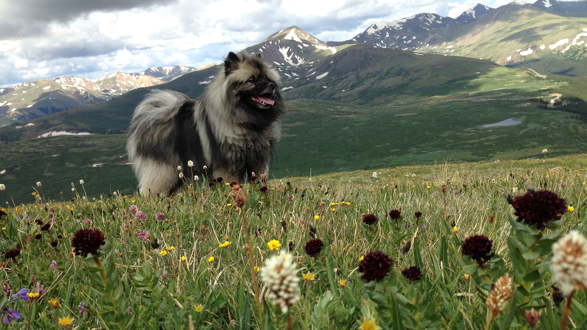 Road Trip to Colorado's Fourteener Mountains - Pursuits with Enterprise ...