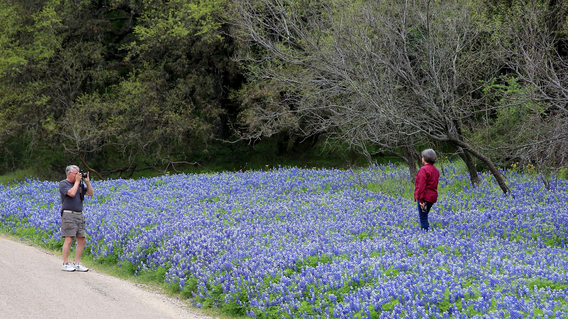 Road Trip to See Texas Bluebonnets - Pursuits with Enterprise ...