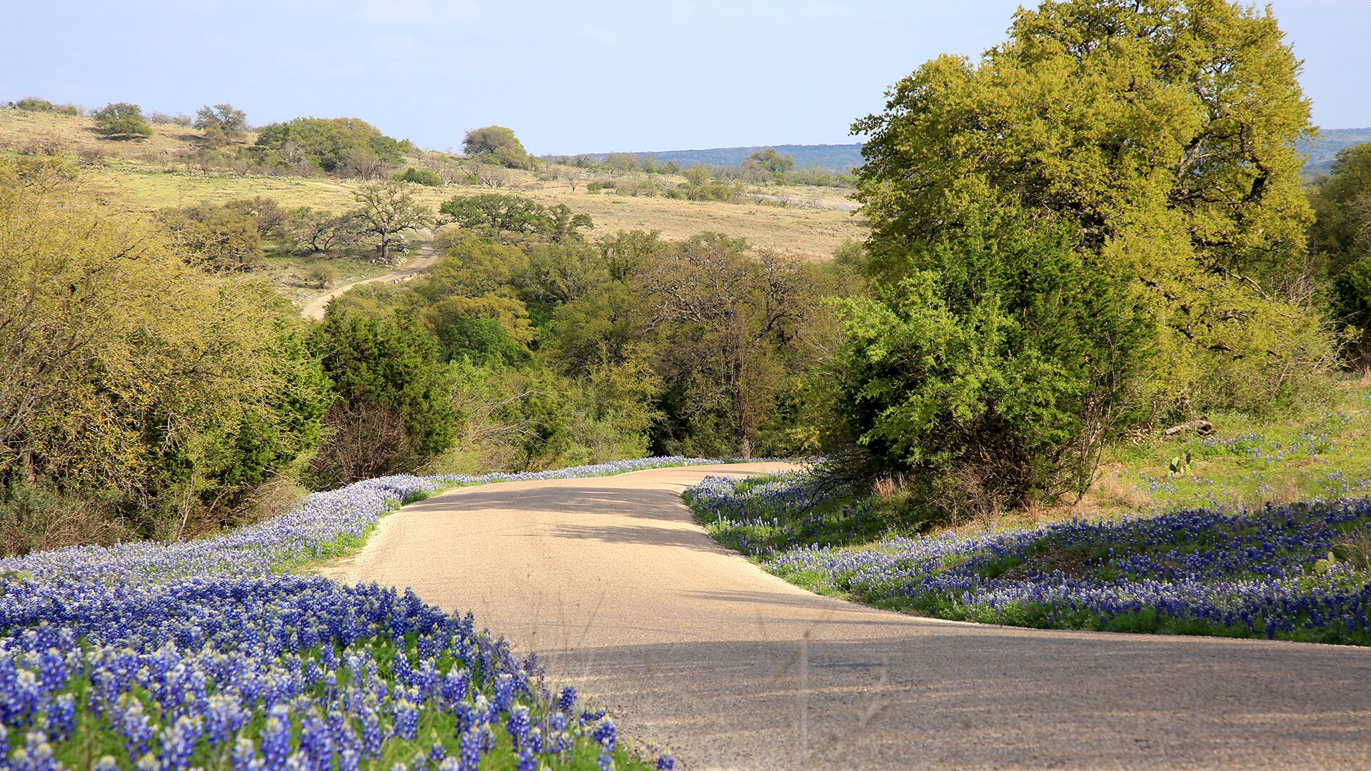 Road Trip to See Texas Bluebonnets - Pursuits with Enterprise ...