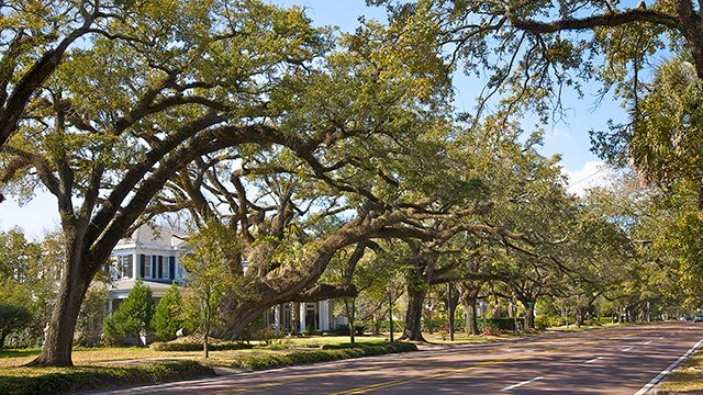 Mobile Car Rental - Book Now | Enterprise Rent-A-Car