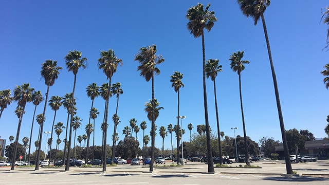 Torrance Car Rental - Book Now | Enterprise Rent-A-Car