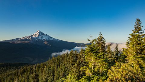 Portland Car Rental - Book Now | Enterprise Rent-A-Car