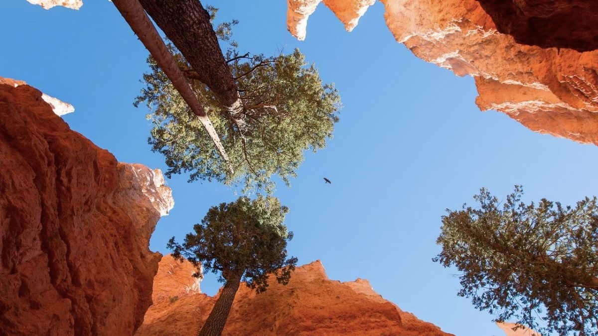 Night and Day - Photography at Utah's National Parks - Pursuits with ...