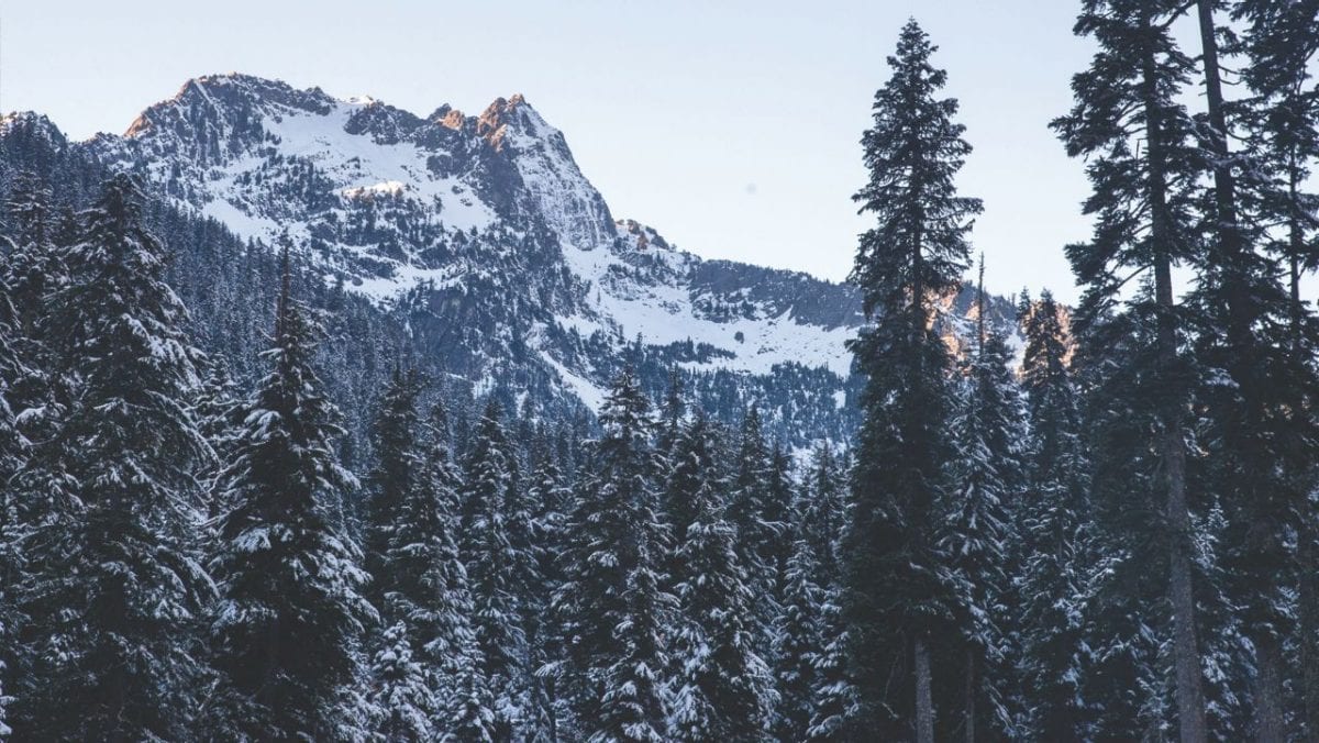 The Nature of Seattle | Enterprise Rent-A-Car